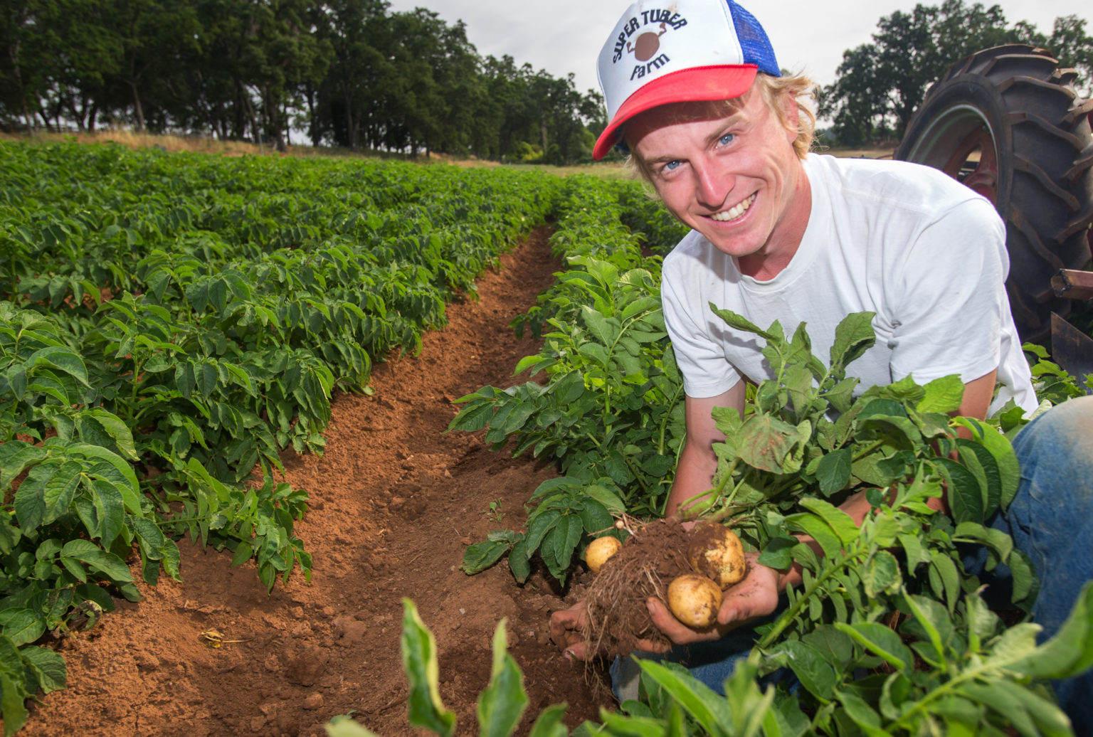 Super Tuber Farm - BriarPatch Food Co-op