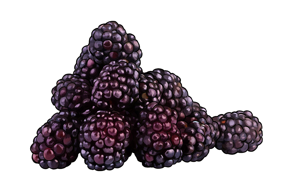 Fresh & Seasonal - BriarPatch Food Co-op